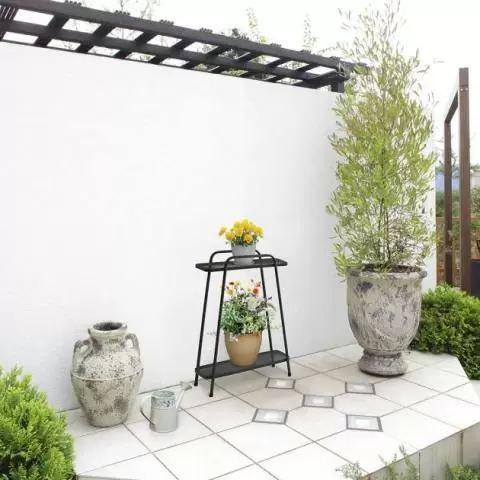 Modern plant stand store